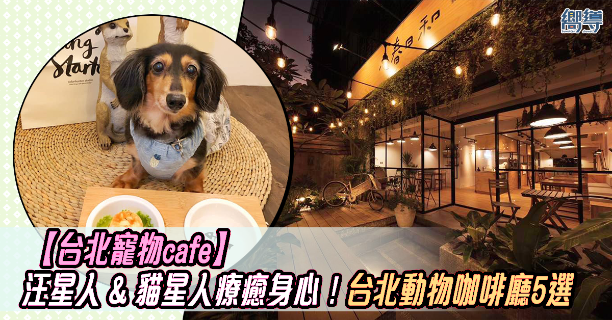【台北寵物cafe】汪星人&喵星人療癒身心！台北動物咖啡廳4選